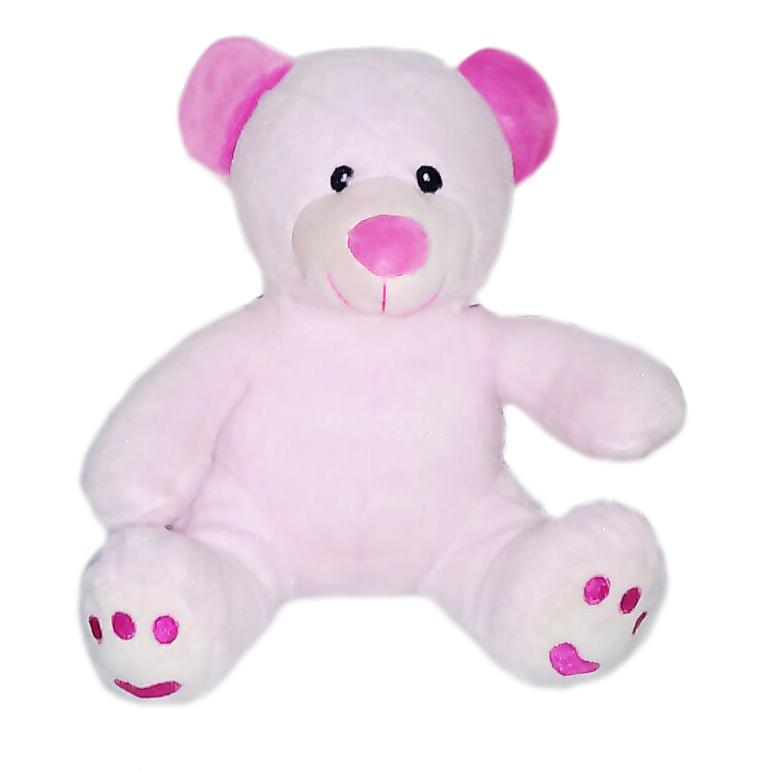 Envio de Tortas a Domicilio - Tortasadomicilio.cl